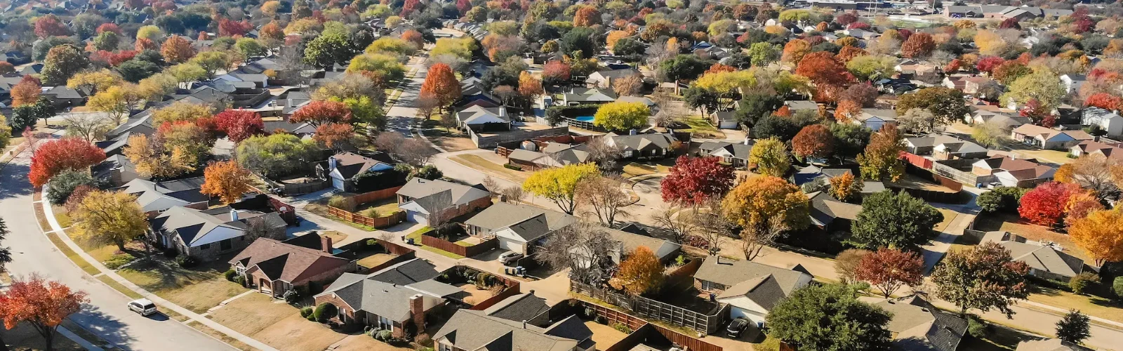 10 Best Restaurants in Garland, Texas